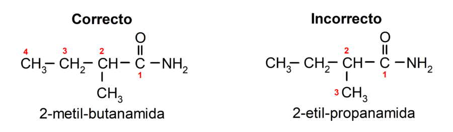 20 Ejemplos de Amidas