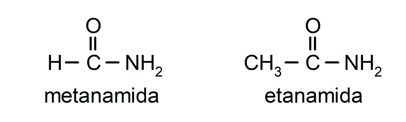 20 Ejemplos de Amidas