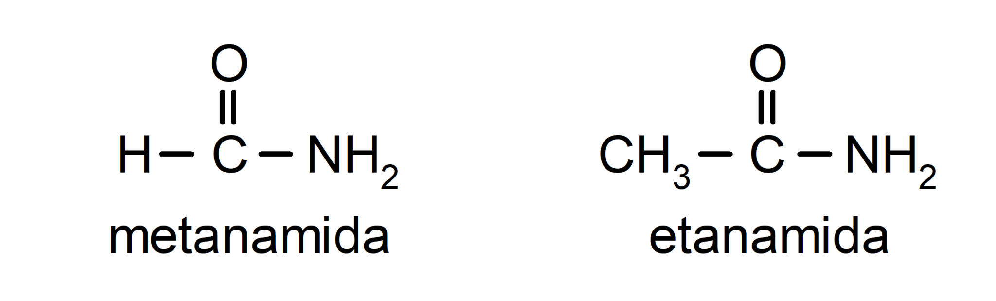 20 Ejemplos de Amidas