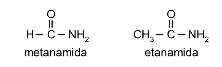 20 Ejemplos de Amidas