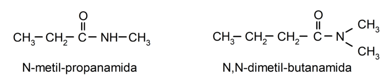 20 Ejemplos de Amidas