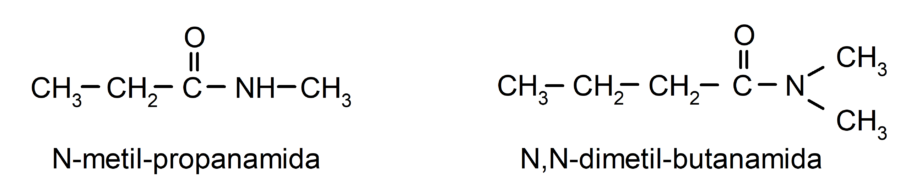 20 Ejemplos de Amidas