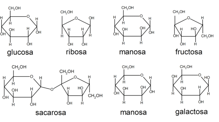 20 Ejemplos de Azúcares
