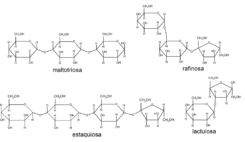 20 Ejemplos de Oligosacáridos