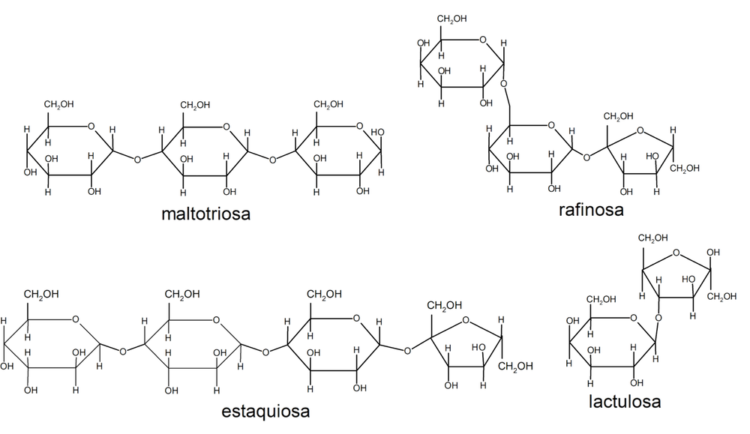 20 Ejemplos de Oligosacáridos