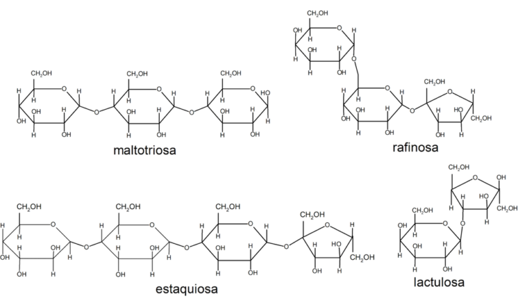 20 Ejemplos de Oligosacáridos