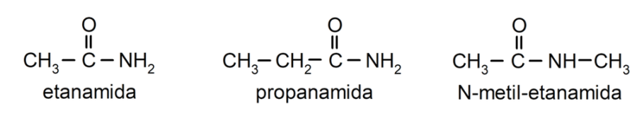 20 Ejemplos de Amidas