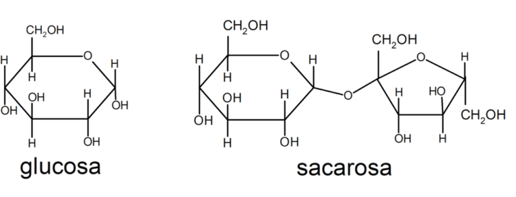 20 Ejemplos de Azúcares