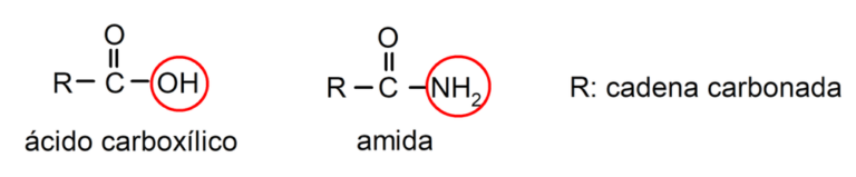 20 Ejemplos de Amidas
