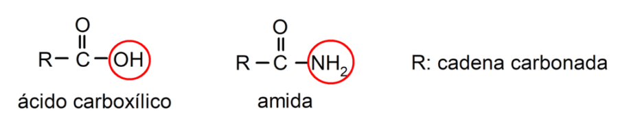 20 Ejemplos de Amidas