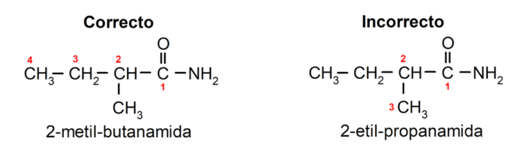 20 Ejemplos de Amidas
