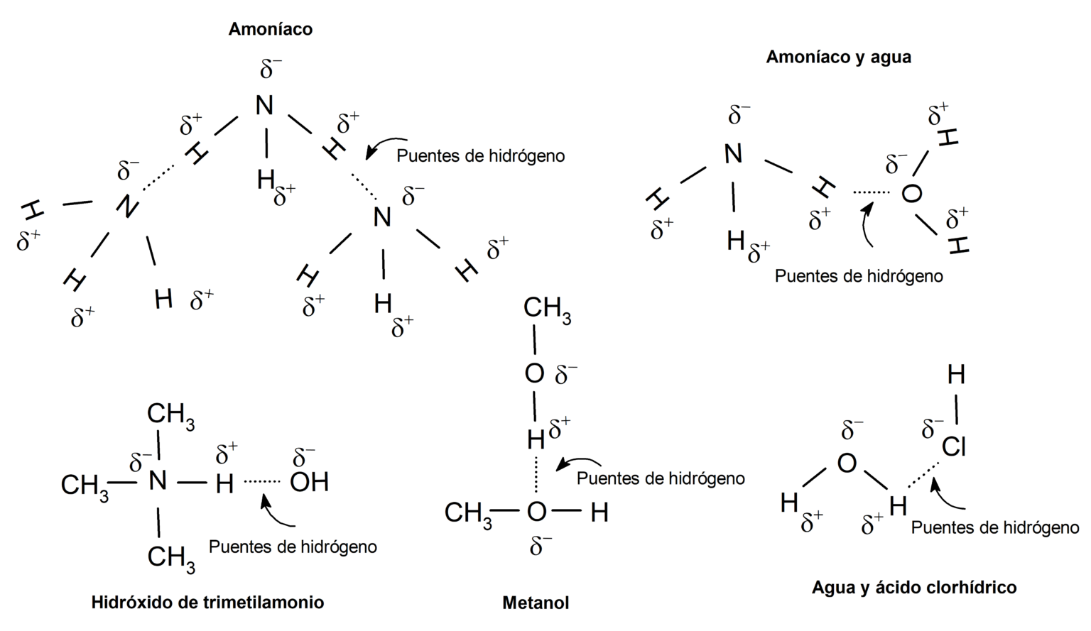 Ejemplos de Enlaces de Hidrógeno