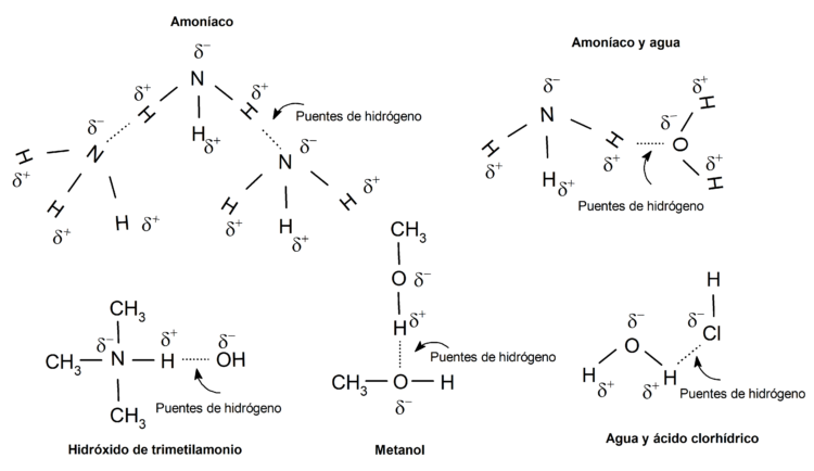 Ejemplos de Enlaces de Hidrógeno