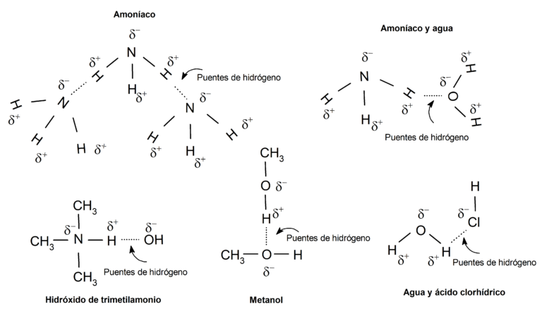 Ejemplos de Enlaces de Hidrógeno