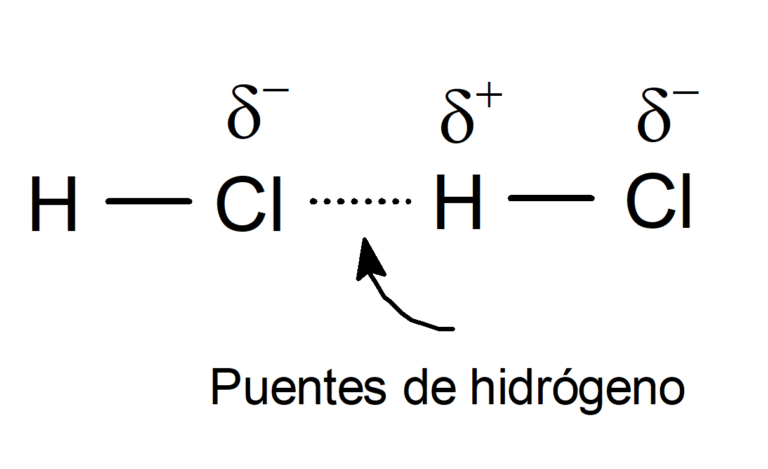 Ejemplos de Enlaces de Hidrógeno