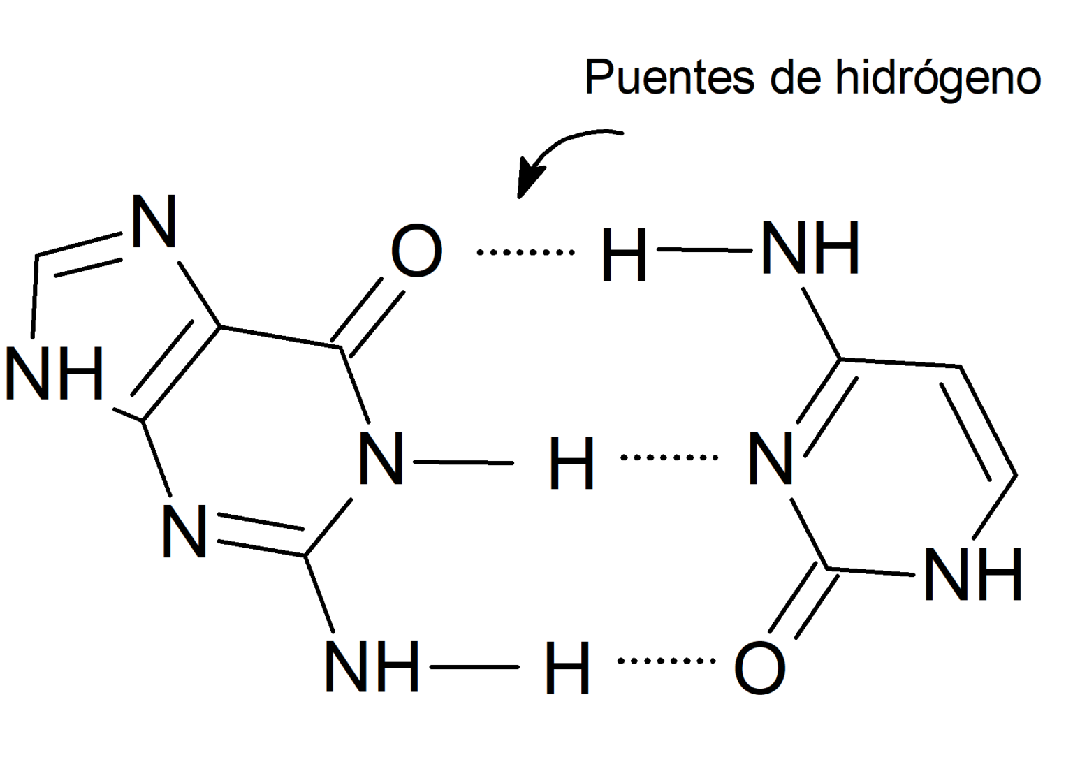 Ejemplos de Enlaces de Hidrógeno