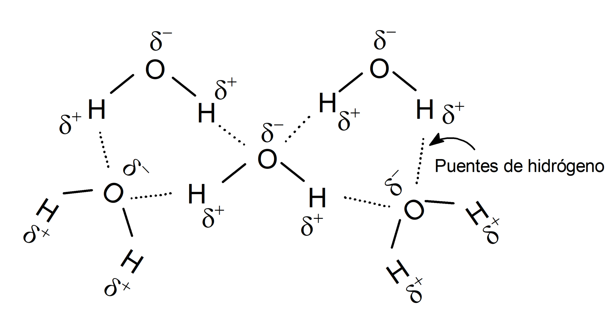 Ejemplos de Enlaces de Hidrógeno