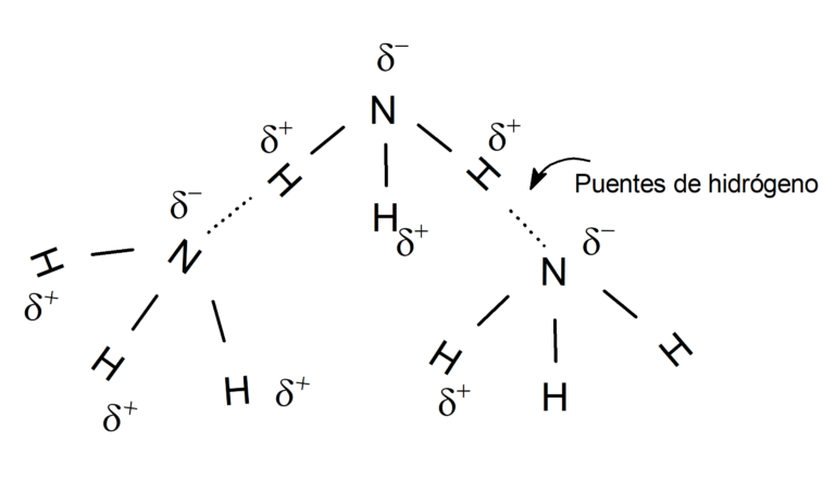 Ejemplos de Enlaces de Hidrógeno