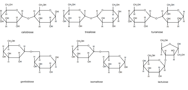 30 exemplos de monossacarídeos, dissacarídeos e polissacarídeos